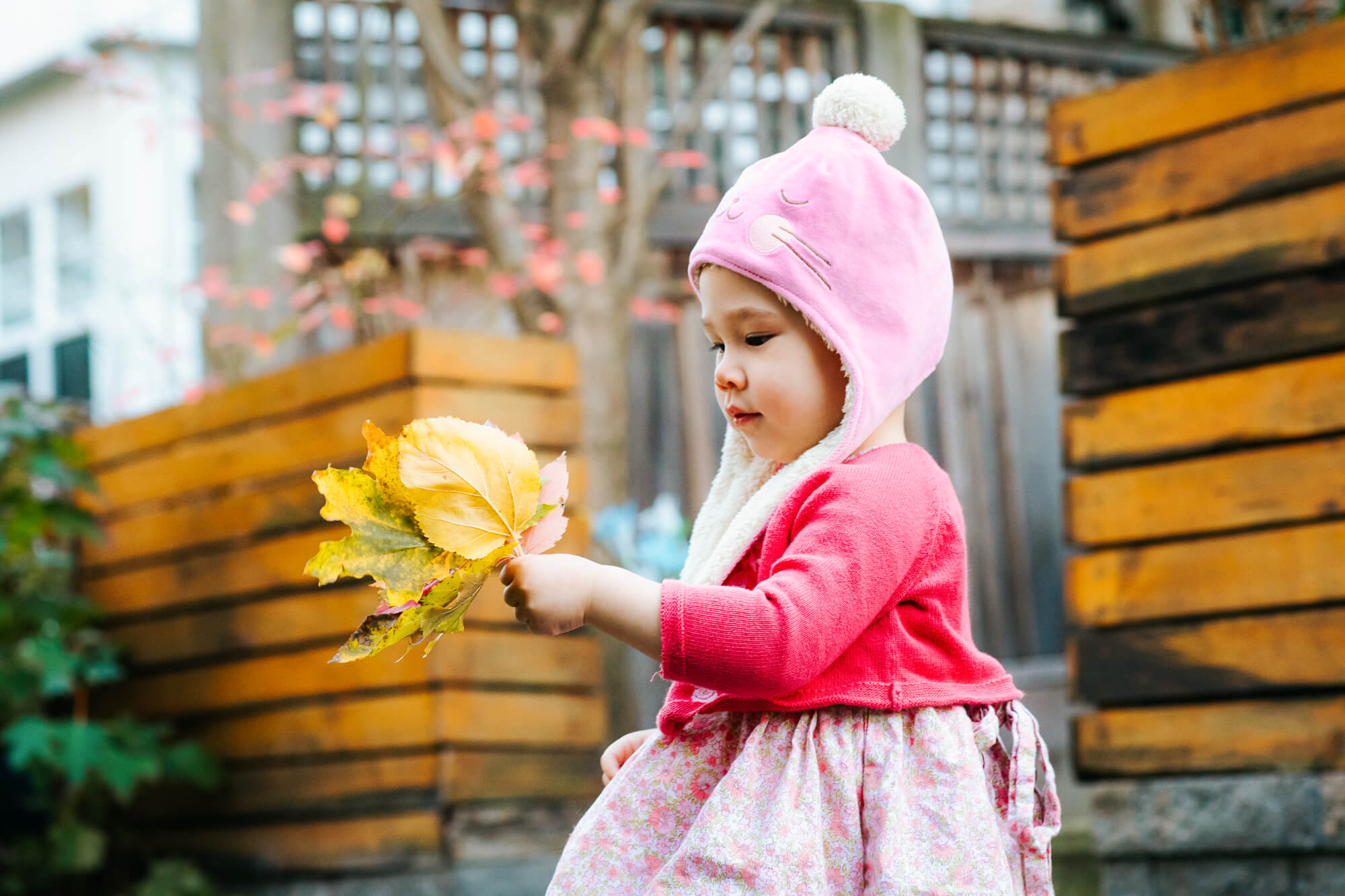 Explore New Places With Things to Do in Massachusetts with Kids!